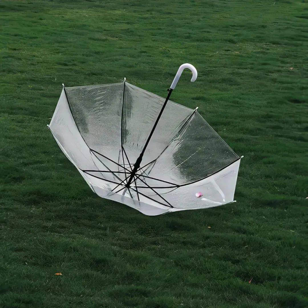 年轮 - Pale Blue Dot